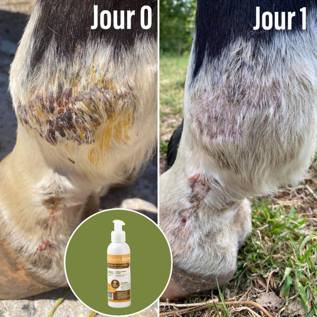 Saviez-vous que la gale de boue n'est pas vraiment une "gale ...