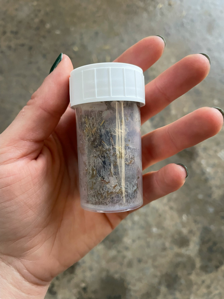 La vermifugation chez le cheval - Natural'Innov