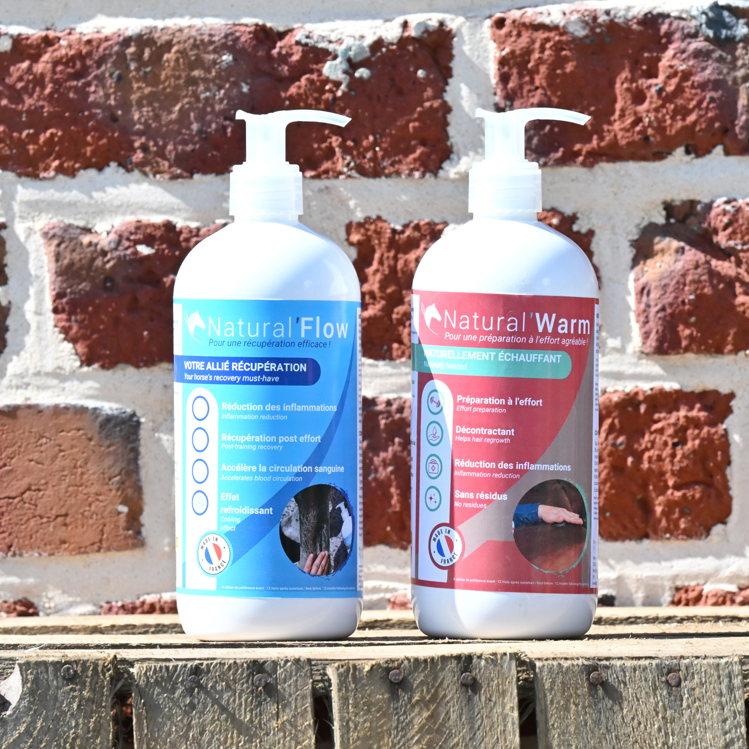 Pack Flex + - Gels de massage - Cheval